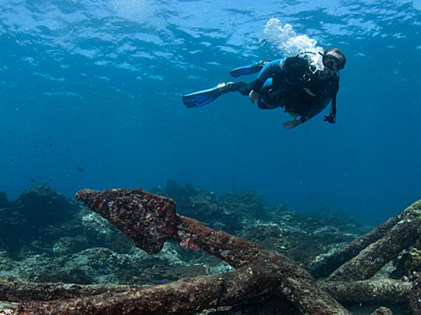 SharkSmart - A smarter approach to shark mitigation in WA waters